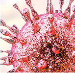 HSV1 and Cold Sore online treatment – Herp Alert